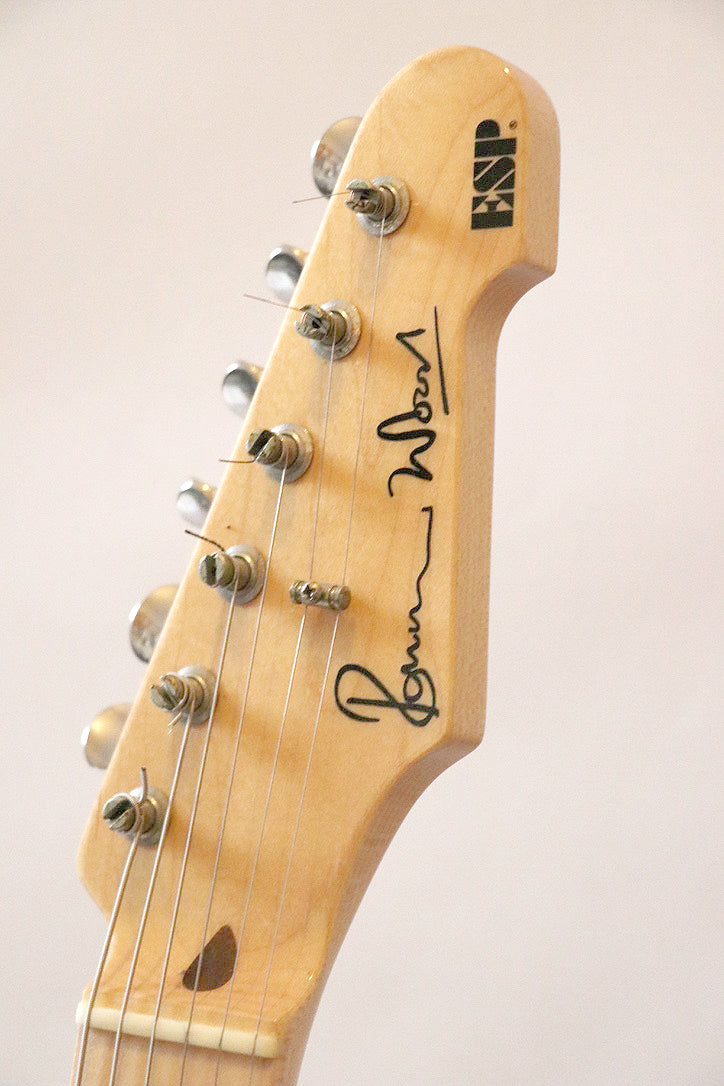 ESP Custom Shop Ron Wood – The Guitar Colonel