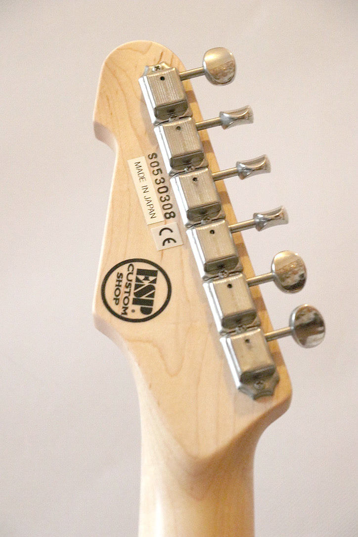 ESP Custom Shop Ron Wood – The Guitar Colonel